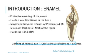 Enamel Rods and its implications | PPT