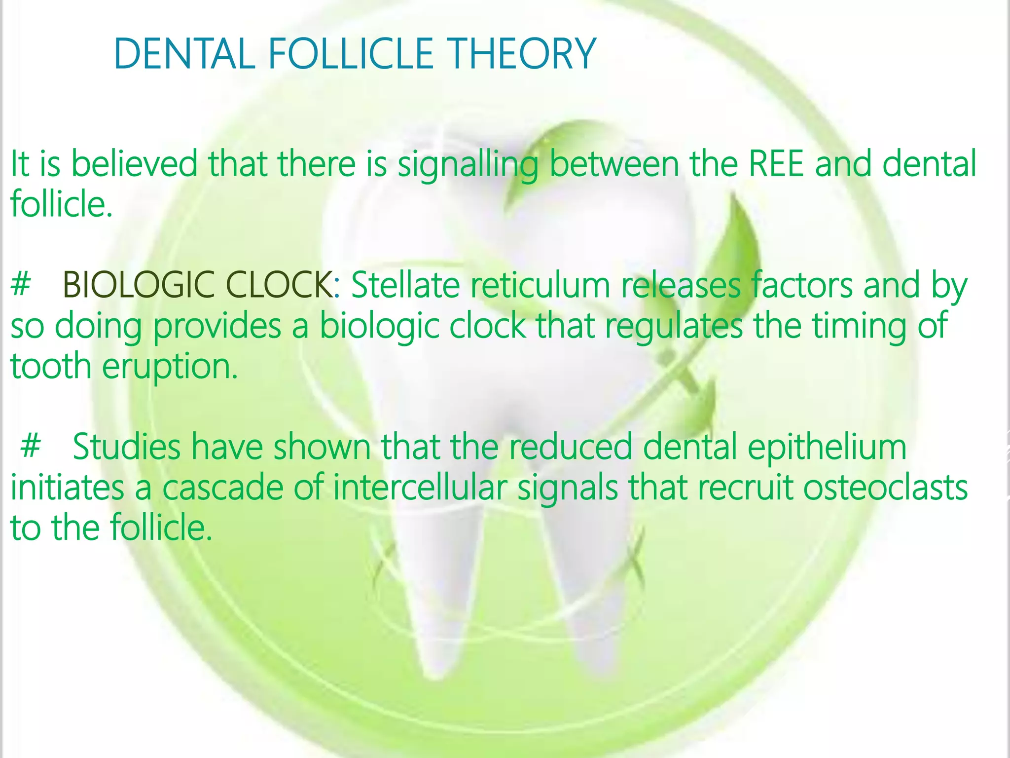 ERUPTION AND SHEDDING | PPTX