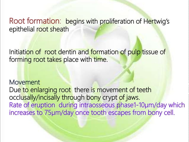 ERUPTION AND SHEDDING | PPTX