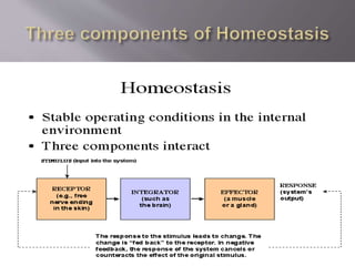 Seminar1 homeostatic mechanism and hemodynamic monitoring | PPTX
