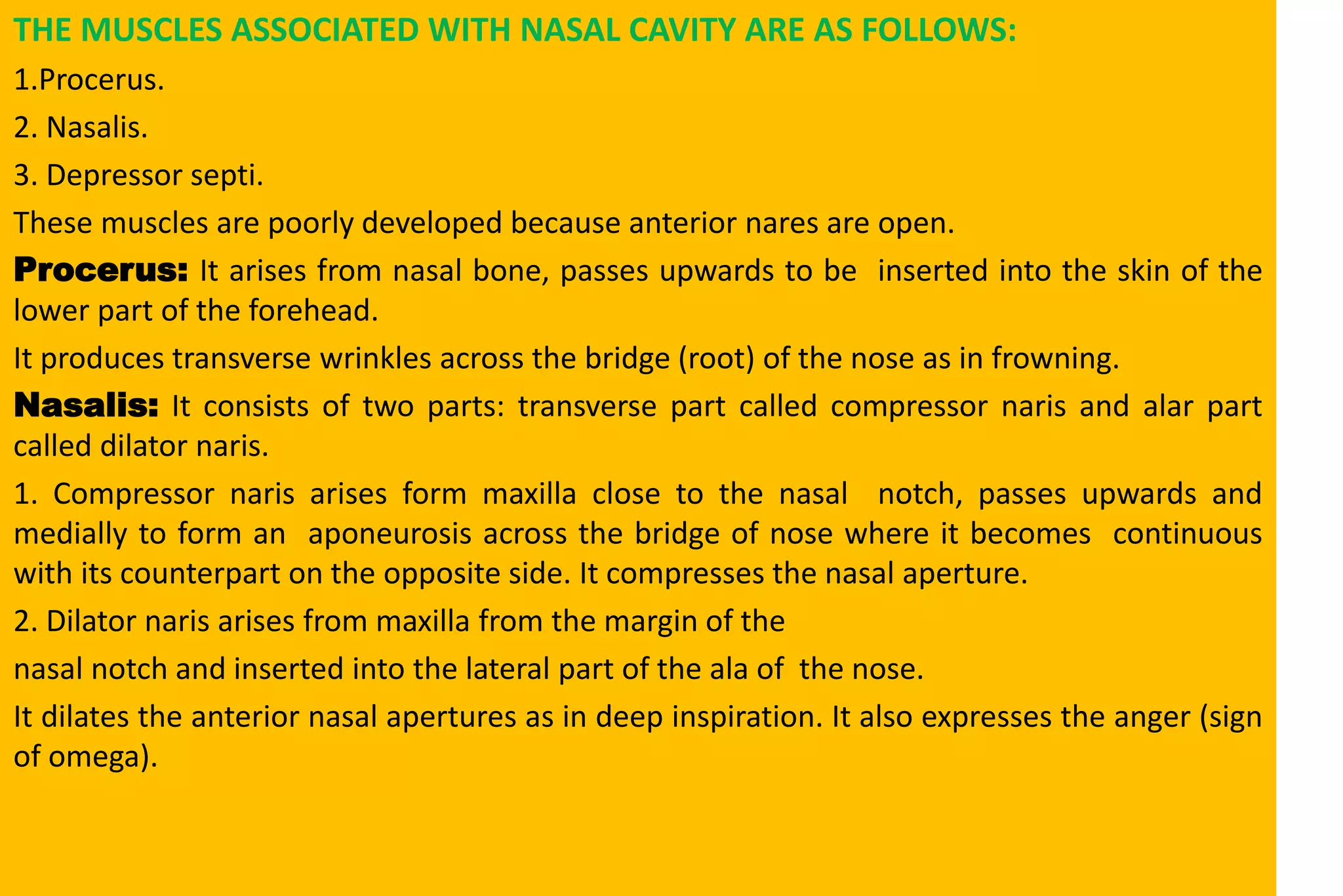 orofacial muscles.pptx