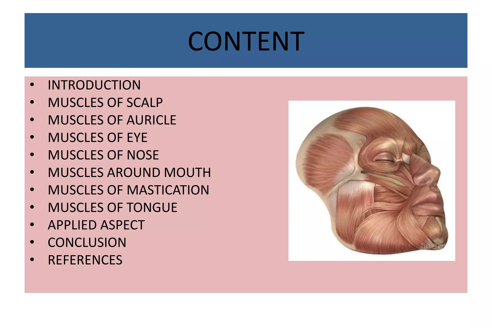 orofacial muscles.pptx
