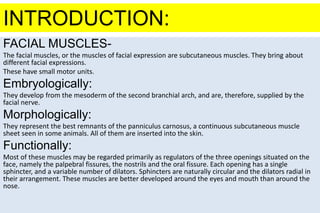 orofacial muscles.pptx