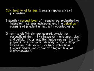 CALCIUM HYDROXIDE in Dentistry | PPTX