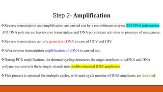 NAT nucleic acid amplification technology Testing- Reverse ...
