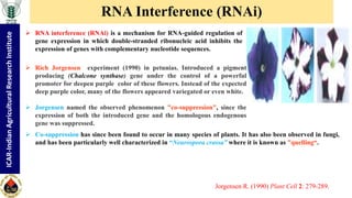 "Non-coding RNA mediated epigenetic regulation of agronomic traits in ...