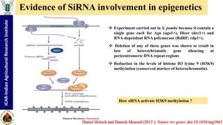 "Non-coding RNA mediated epigenetic regulation of agronomic traits in ...