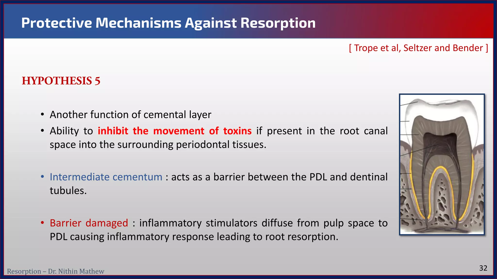 Resorption | PDF | Bone and Joint Conditions | Diseases and Conditions