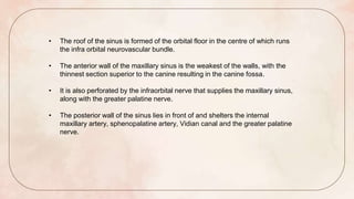 SEMINAR 13 - OAC AND OAF - introduction , surgical anatomy of maxillary ...