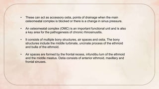 SEMINAR 13 - OAC AND OAF - introduction , surgical anatomy of maxillary ...
