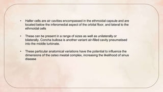 SEMINAR 13 - OAC AND OAF - introduction , surgical anatomy of maxillary ...