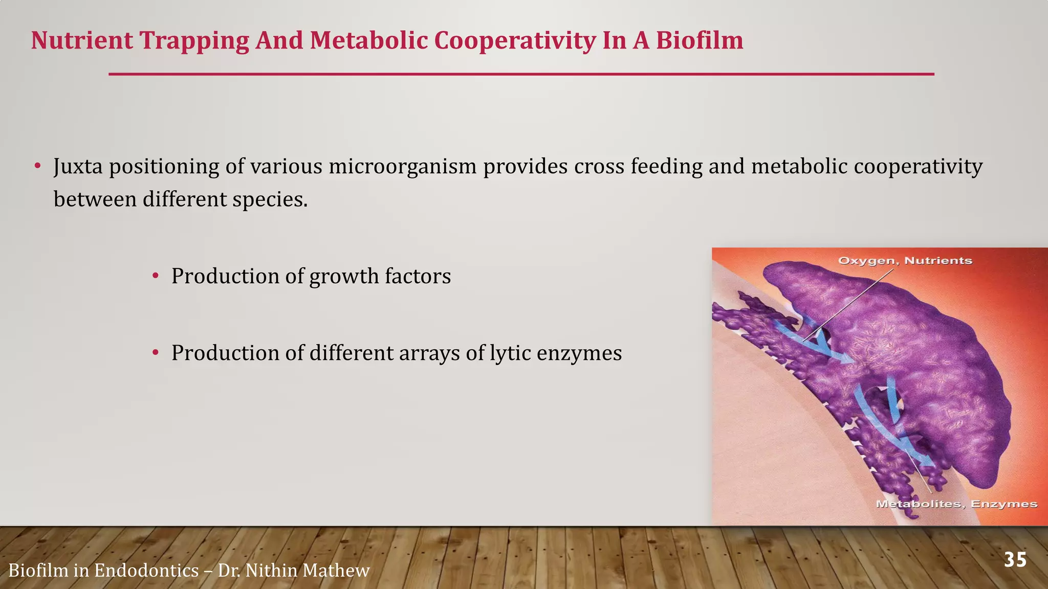 Biofilm | PDF