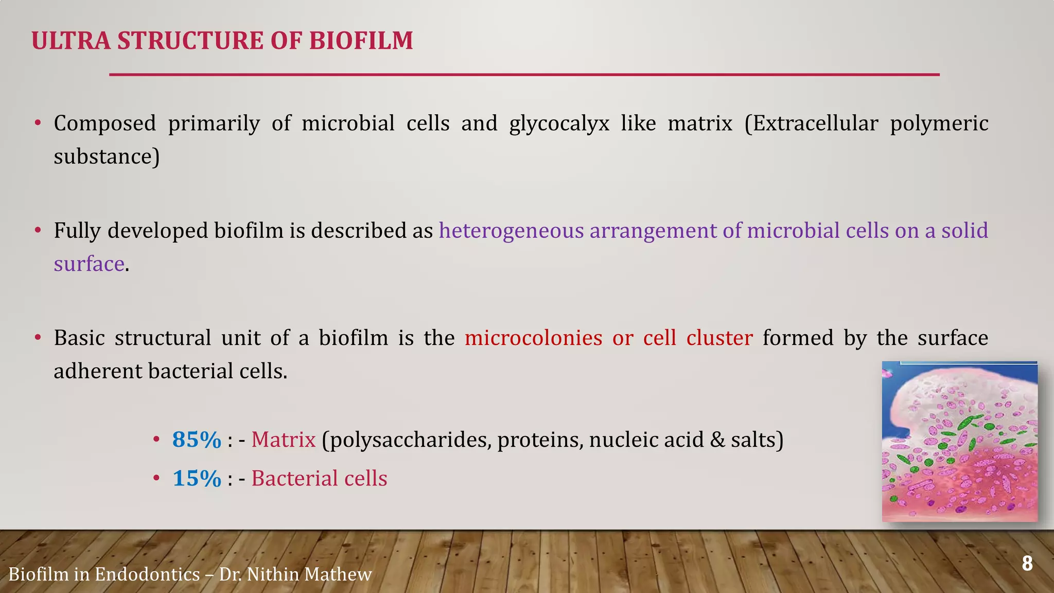 Biofilm | PDF