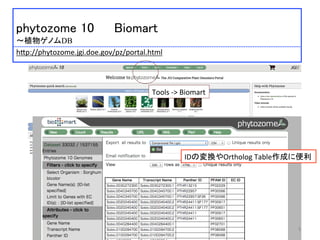Bioinformatics Resources and Tools | PPT