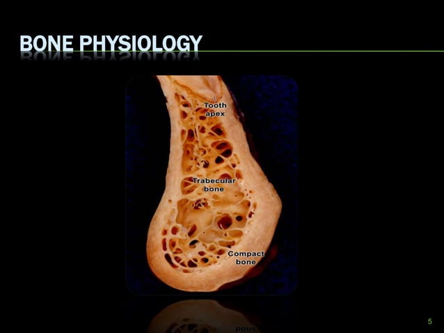 Osseointegration part 1 | PPTX | Bone and Joint Conditions | Diseases ...
