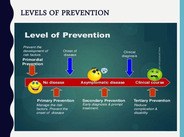Common Risk Factor Approach | PPTX