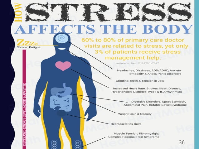 Common Risk Factor Approach | PPTX
