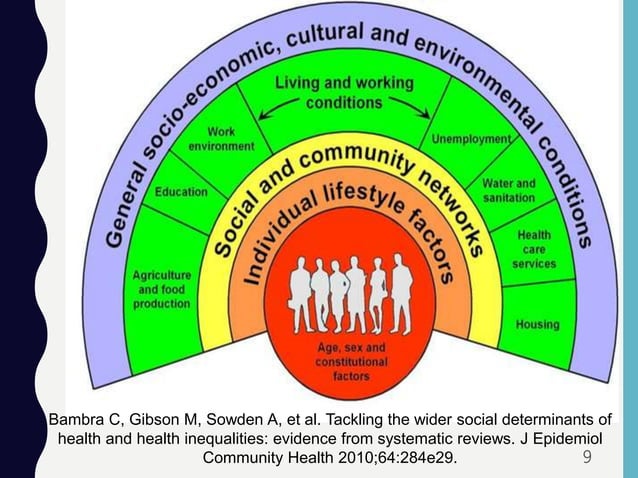 Common Risk Factor Approach | PPTX