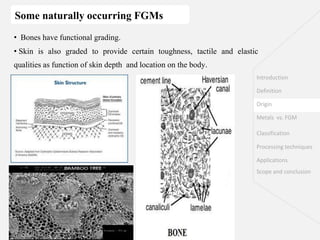 overview of functionally graded materials | PDF