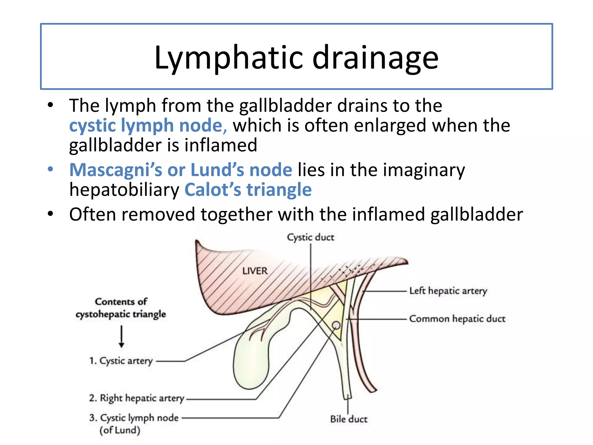 Surgical Jaundice | PPTX