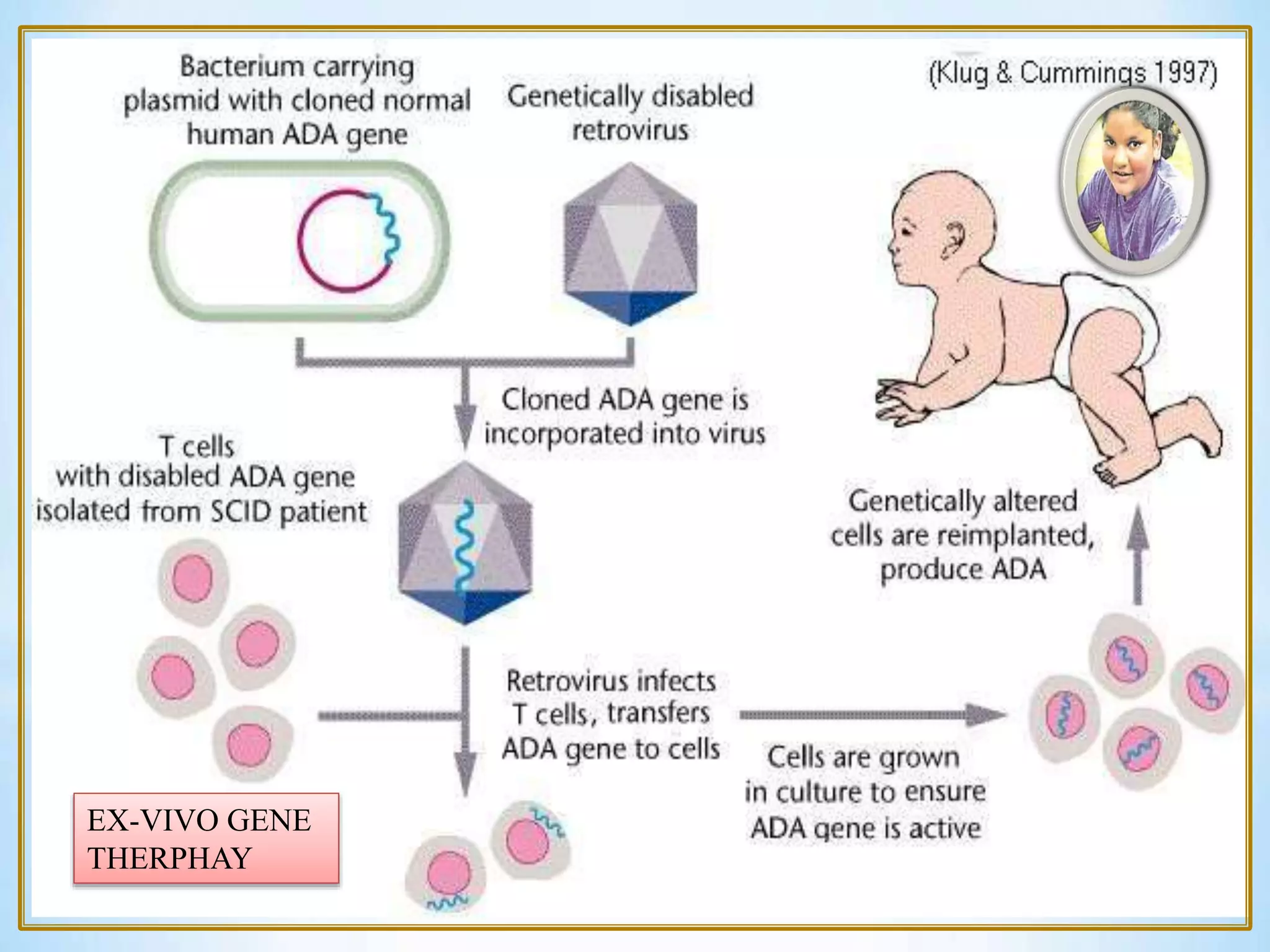 Targeted gene therapy | PPTX