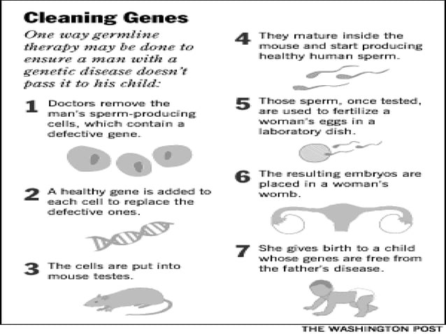 Targeted gene therapy | PPTX | Cancer | Diseases and Conditions