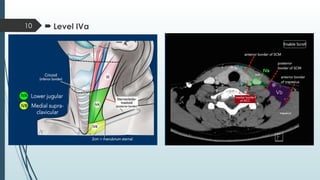 Seminar 1 Delineation of the neck node levels for head.pptx