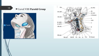 Seminar 1 Delineation of the neck node levels for head.pptx