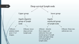 Seminar 1 Delineation of the neck node levels for head.pptx