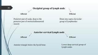 Seminar 1 Delineation of the neck node levels for head.pptx