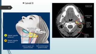 Seminar 1 Delineation of the neck node levels for head.pptx