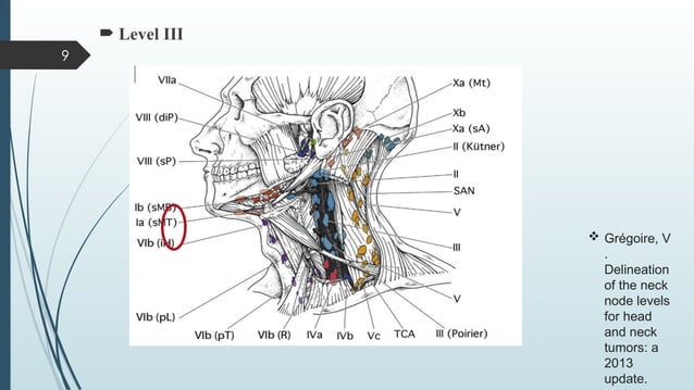 Seminar 1 Delineation of the neck node levels for head.pptx