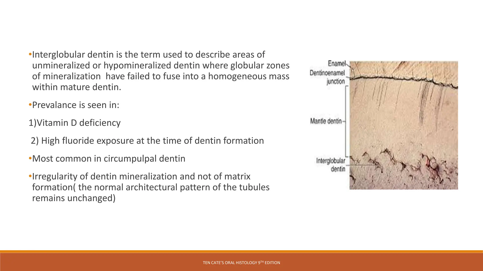 DENTIN- ALL YOU NEED TO KNOW ABOUT IT!!! | PPTX