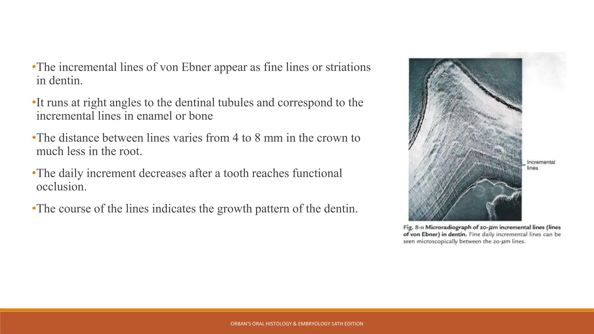 DENTIN- ALL YOU NEED TO KNOW ABOUT IT!!! | PPTX