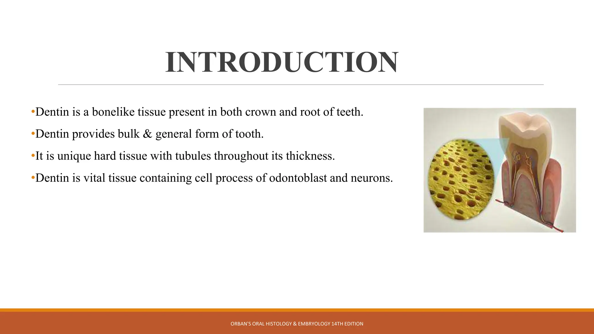 DENTIN- ALL YOU NEED TO KNOW ABOUT IT!!! | PPTX