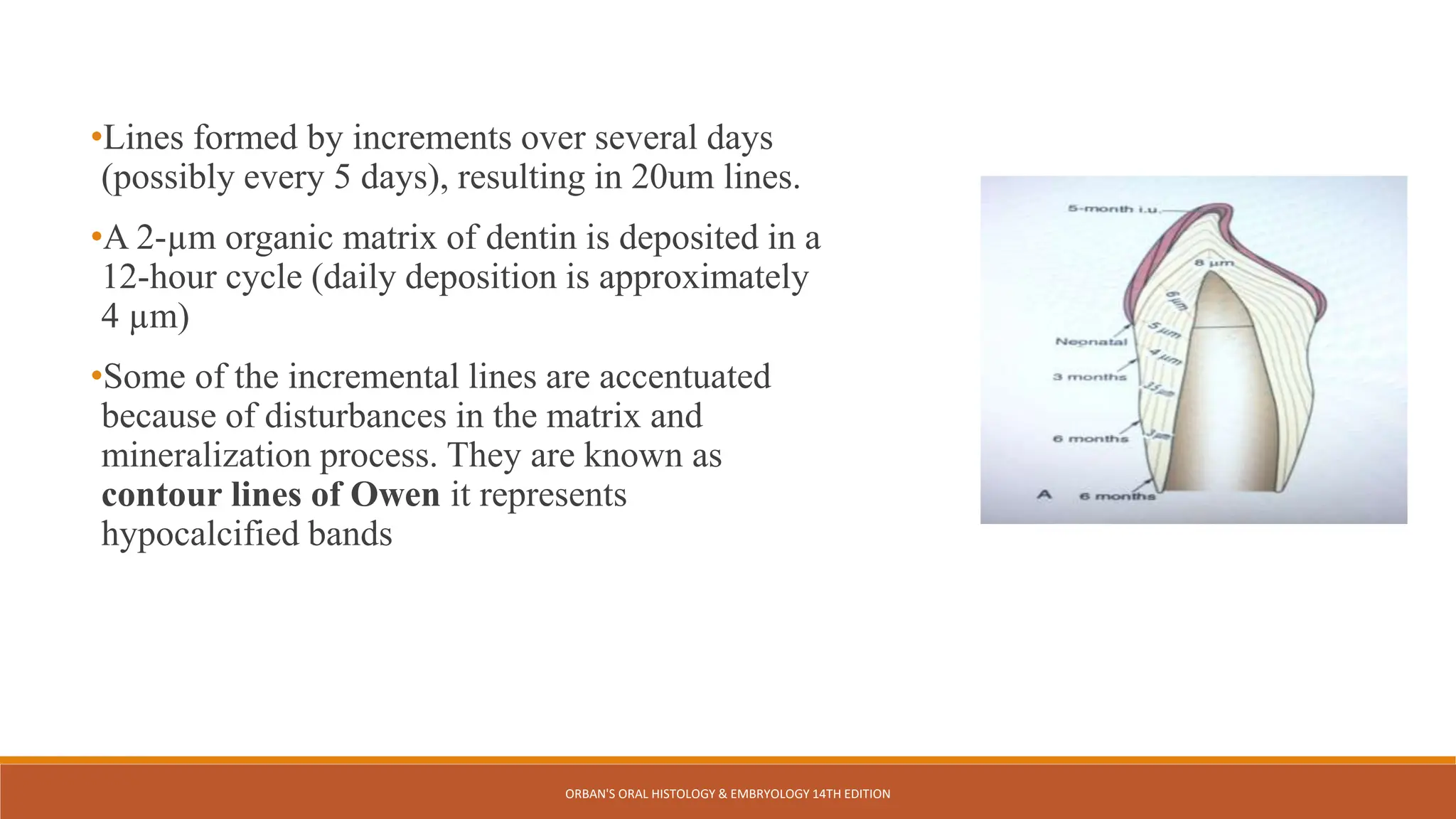 DENTIN- ALL YOU NEED TO KNOW ABOUT IT!!! | PPTX