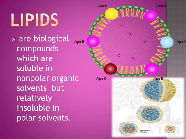 lipids & dyslipoproteinemia | PPTX | Chemistry | Science