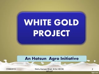 White Gold project | PPTX