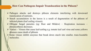 EFFECT OF PATHOGEN ON HOST PLANT PHYSIOLOGY | PPTX