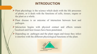 EFFECT OF PATHOGEN ON HOST PLANT PHYSIOLOGY | PPTX | Gardening | Home & Garden