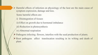 EFFECT OF PATHOGEN ON HOST PLANT PHYSIOLOGY | PPTX | Gardening | Home ...