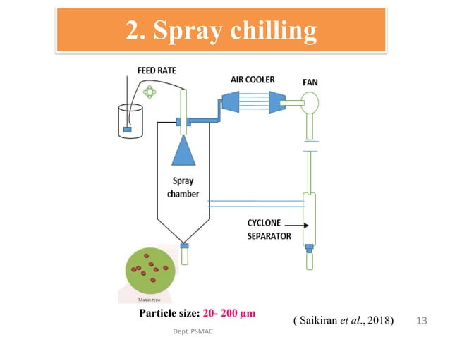 MICROENCAPSULATION IN SPICES | PPTX | Chemistry | Science