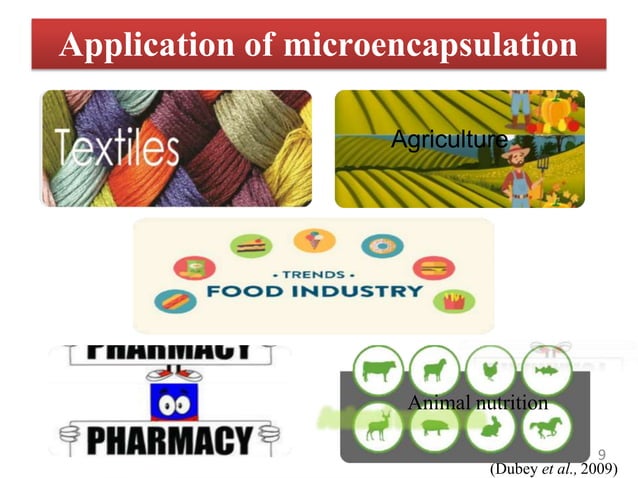 MICROENCAPSULATION IN SPICES | PPTX | Chemistry | Science