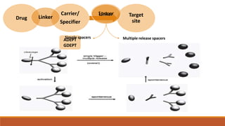 Seminar 1 prodrugs | PPTX