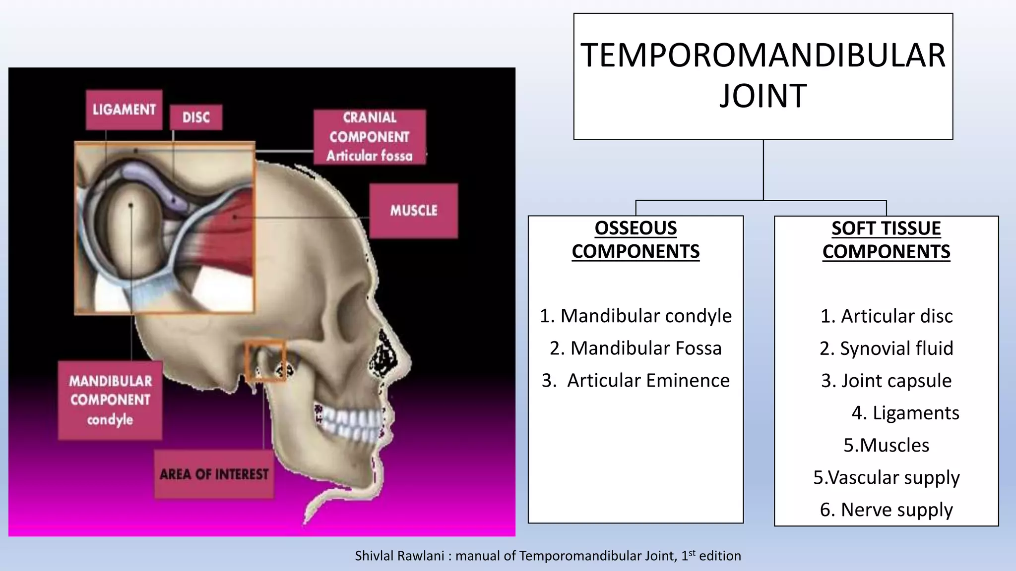 Temporomandibular Joint (Anatomy) | PPTX