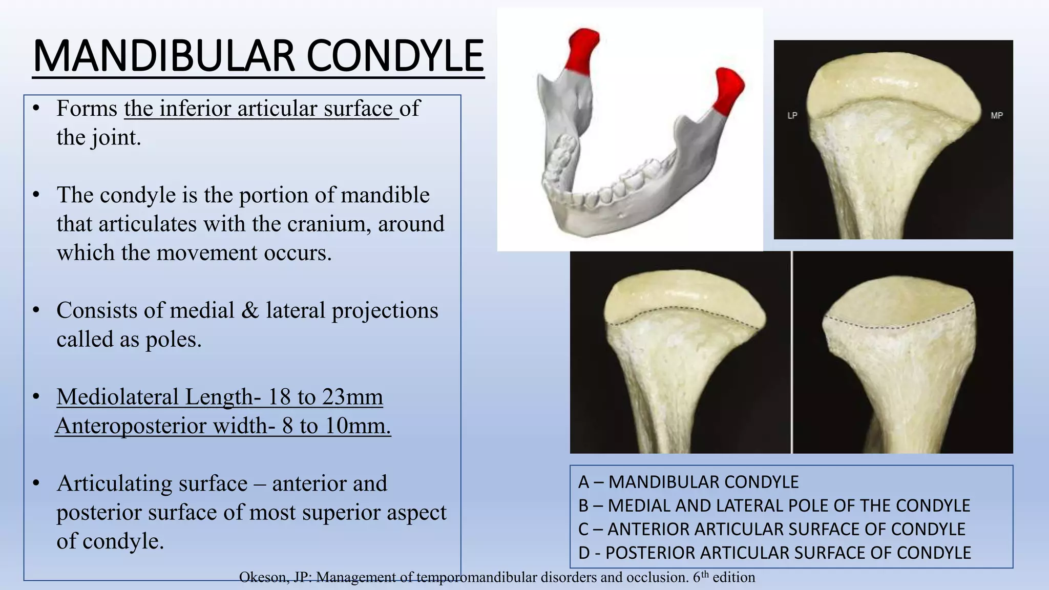 Temporomandibular Joint (Anatomy) | PPTX