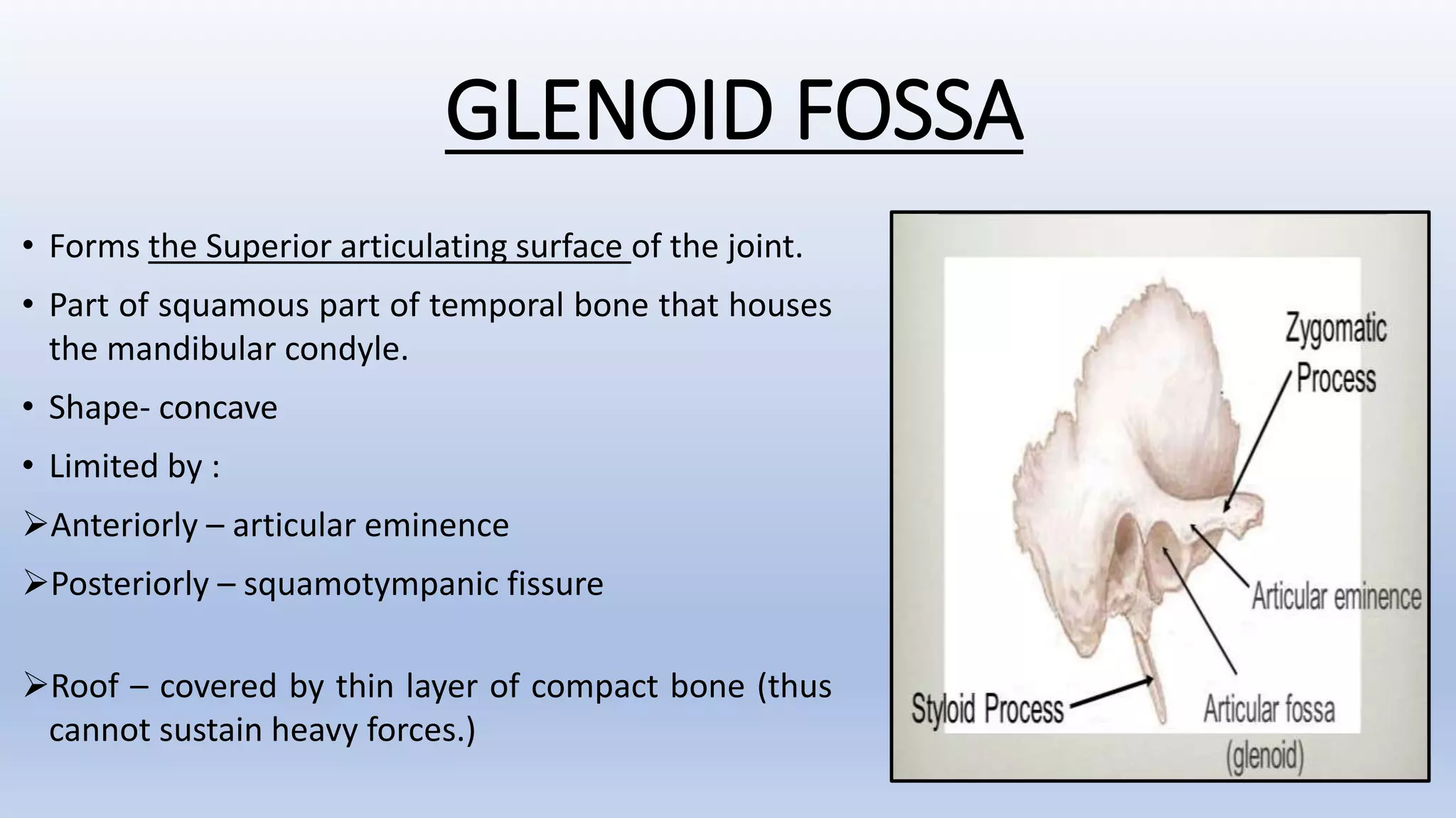 Temporomandibular Joint (Anatomy) | PPTX