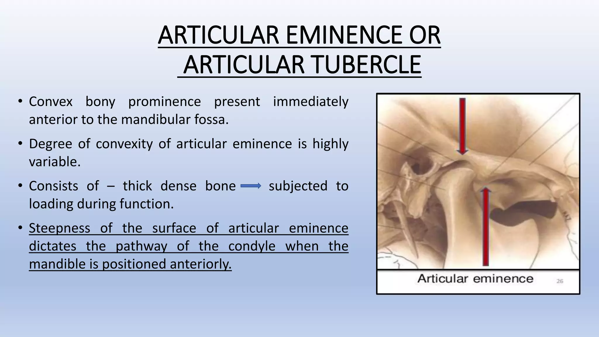 Temporomandibular Joint (Anatomy) | PPTX