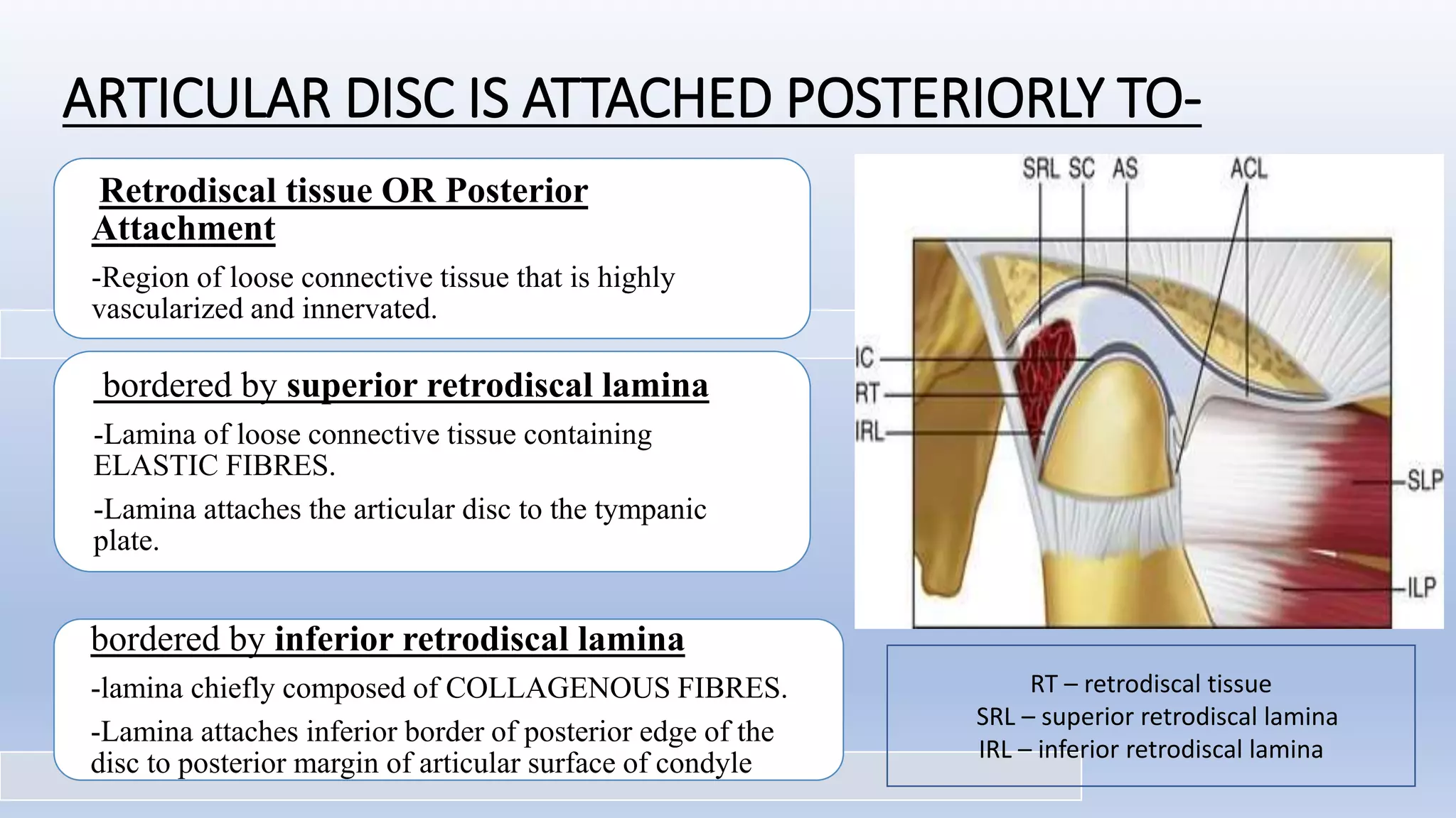 Temporomandibular Joint (Anatomy) | PPTX