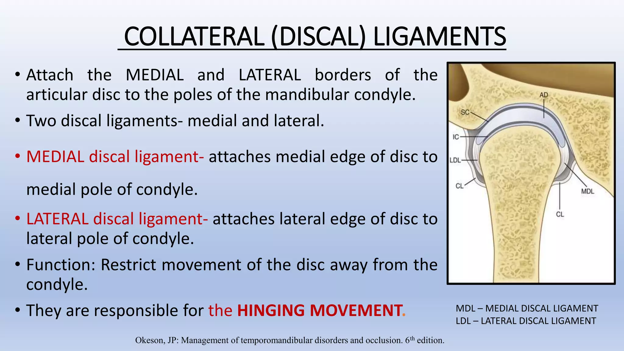 Temporomandibular Joint (Anatomy) | PPTX